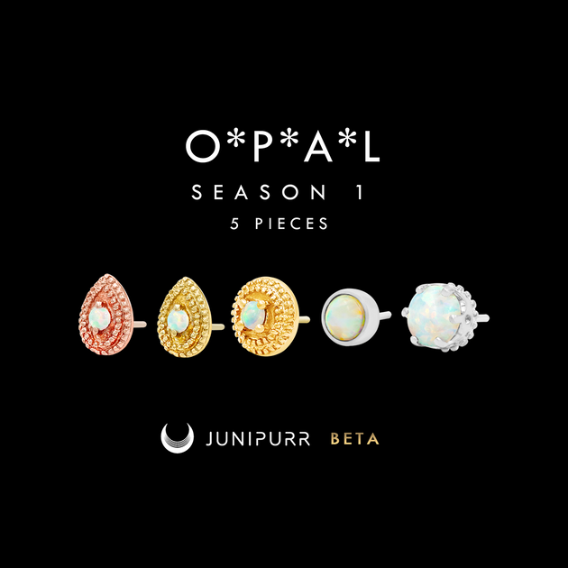 Wholesale Gold Body Jewelry Starter Kits – Junipurr Jewelry